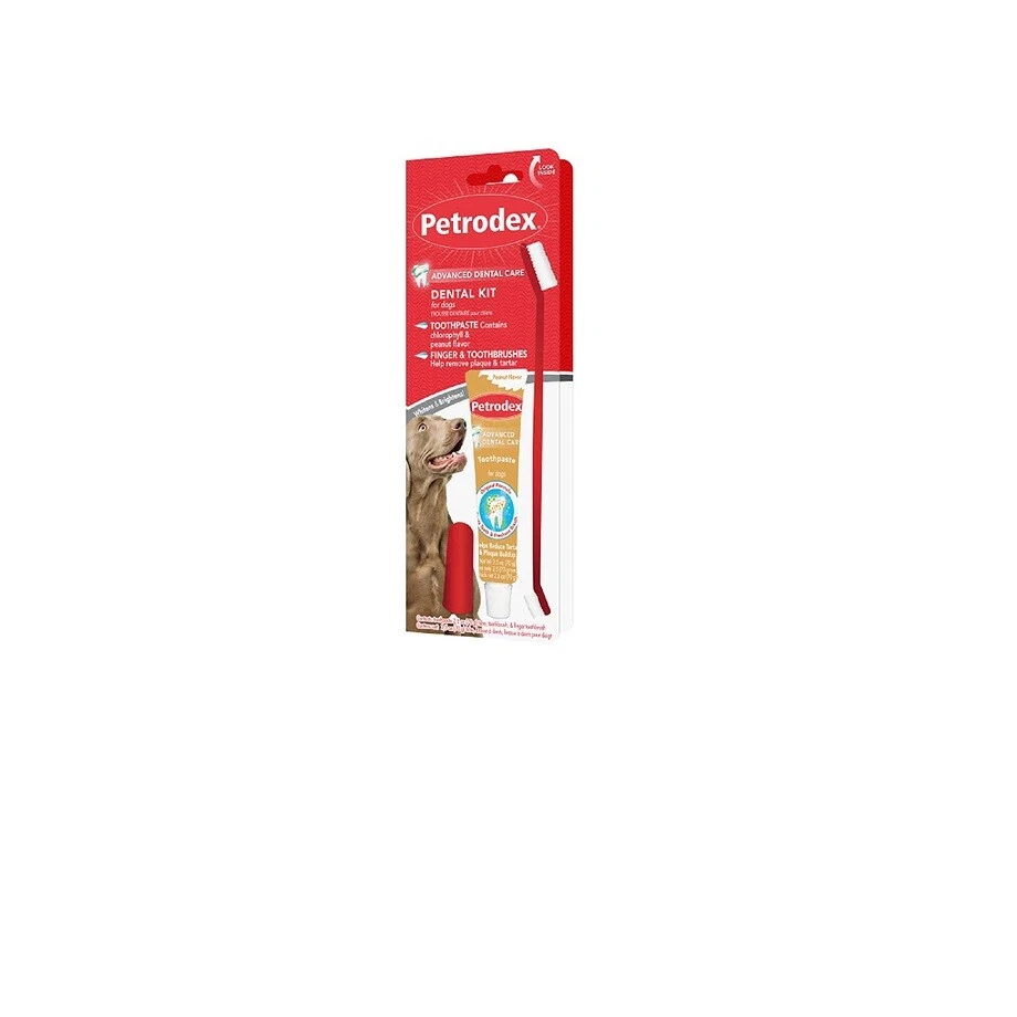 Petrodex Dental Kit For Dog Pet Natural Peanut Butter No Need To Rinse ...