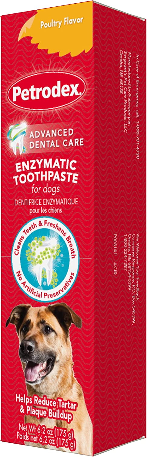 Petrodex Enzymatic Dental Toothpaste for Dogs, Fights Bad Breath ...