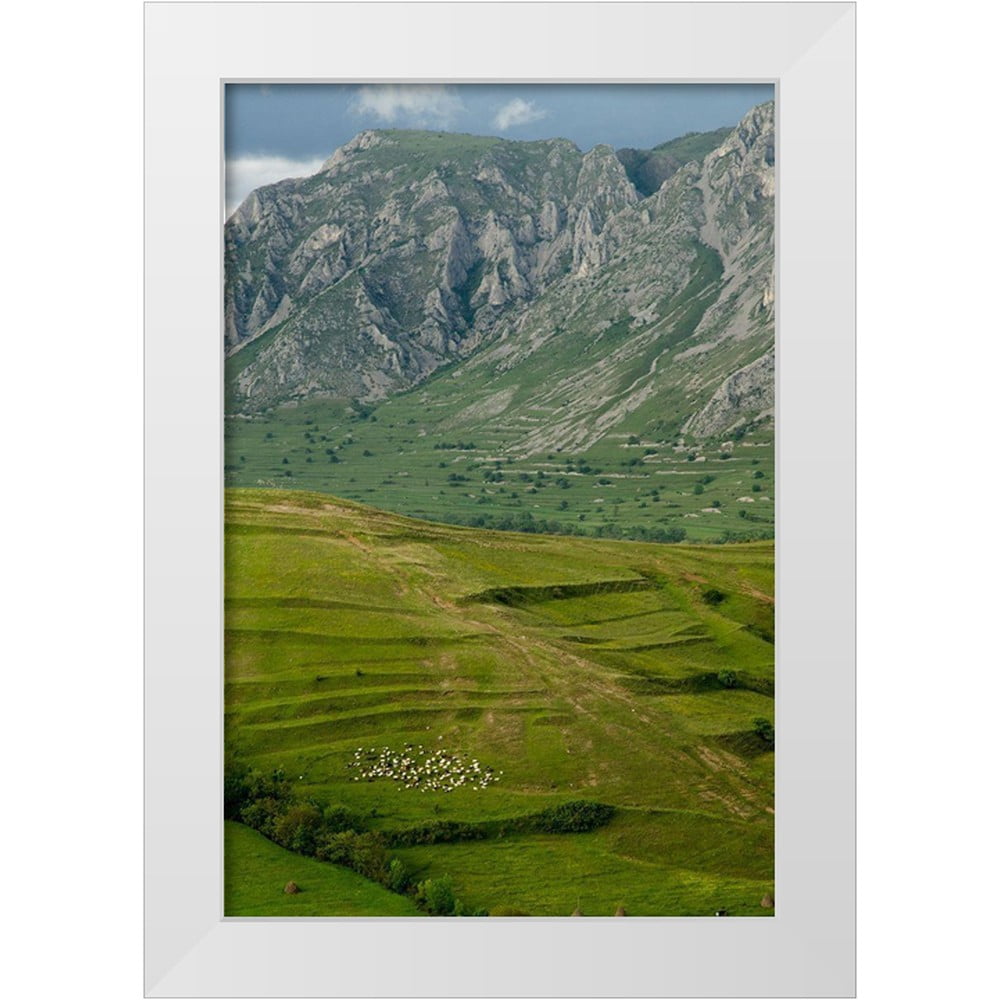 Petru Laurentiu, Pop 23x32 White Modern Wood Framed Museum Art Print ...