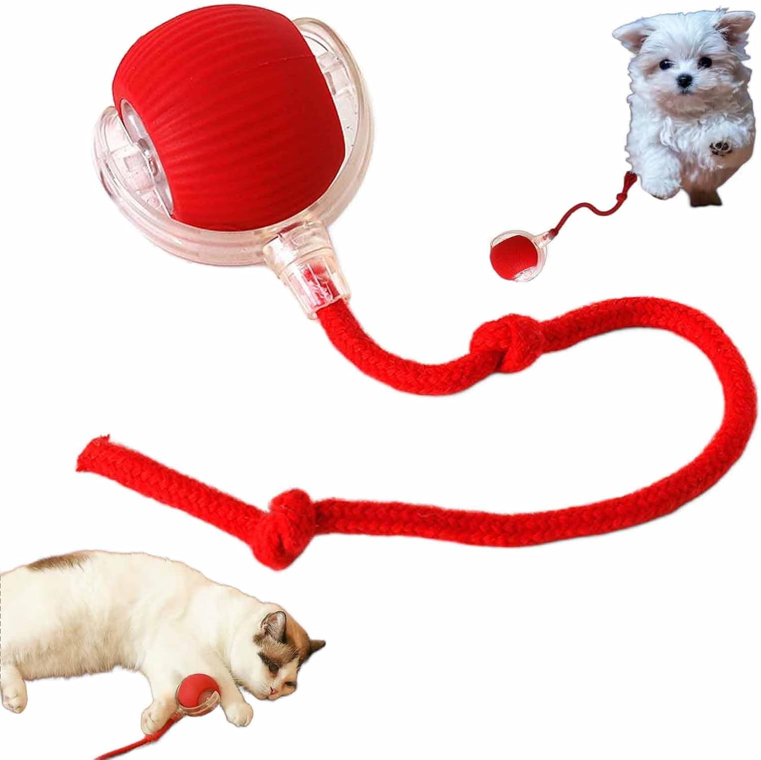 Pets Cat Toy Ball, Interactive Cat Toy Ball, Smart Interactive Cat Toy ...