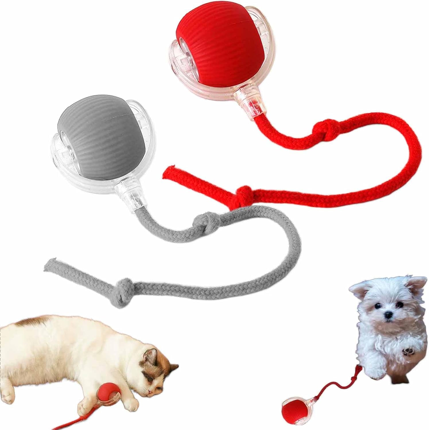 Pets Cat Toy Ball, Interactive Cat Toy Ball, Smart Interactive Cat Toy ...
