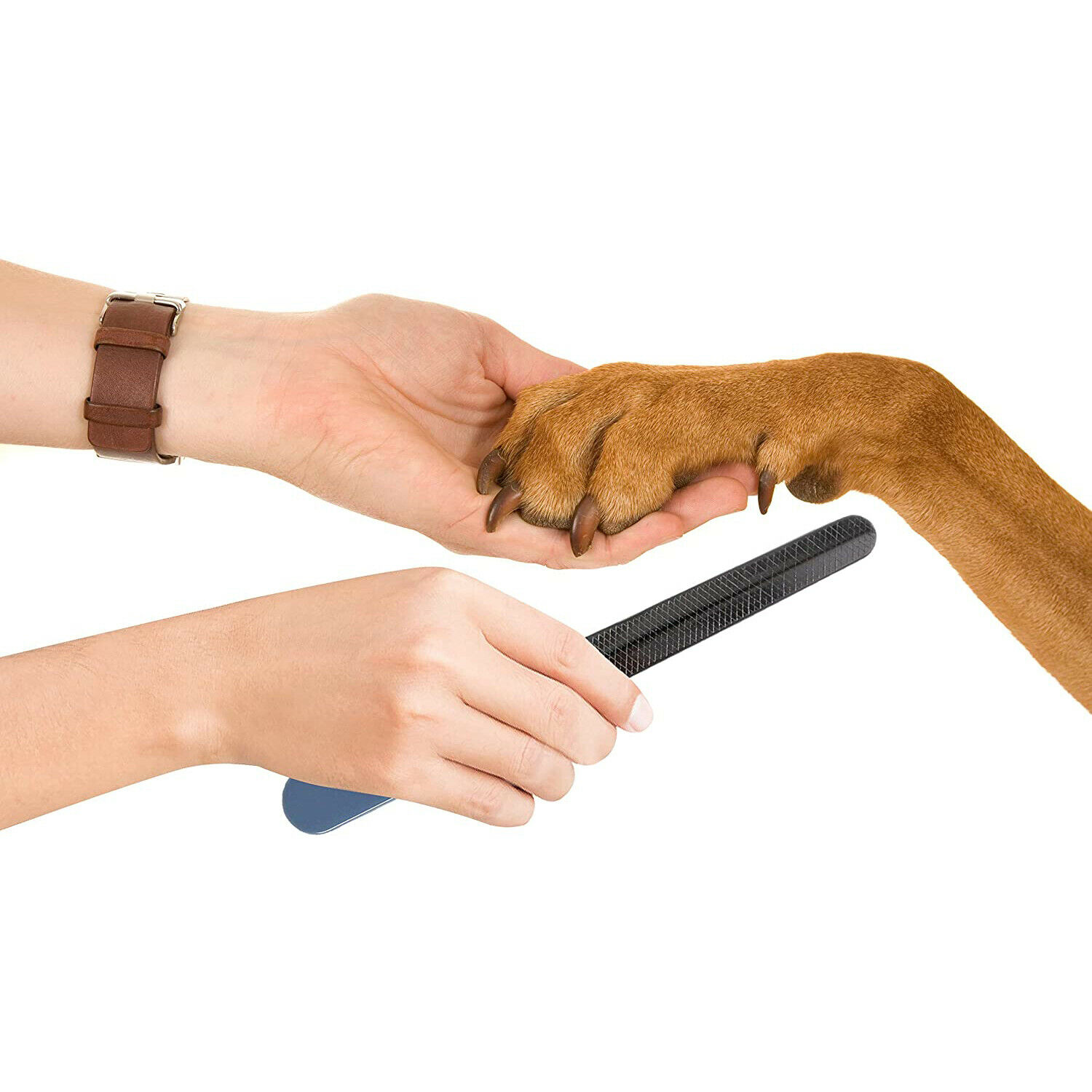 Pets First Professional Pet Mat Remover - Dematting Tool for Grooming ...