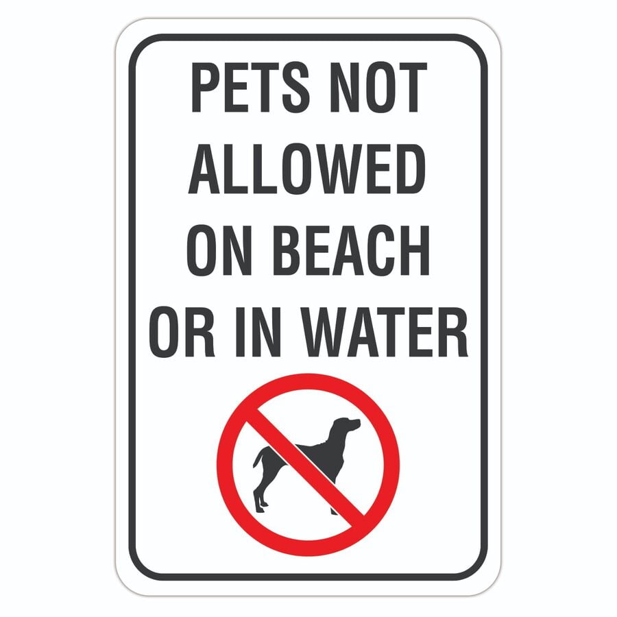 Pets Not Allowed On Beach Or In Water Metal Aluminum Sign Size: 16 x 12 ...