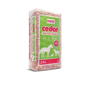 Cedar Wood Shavings