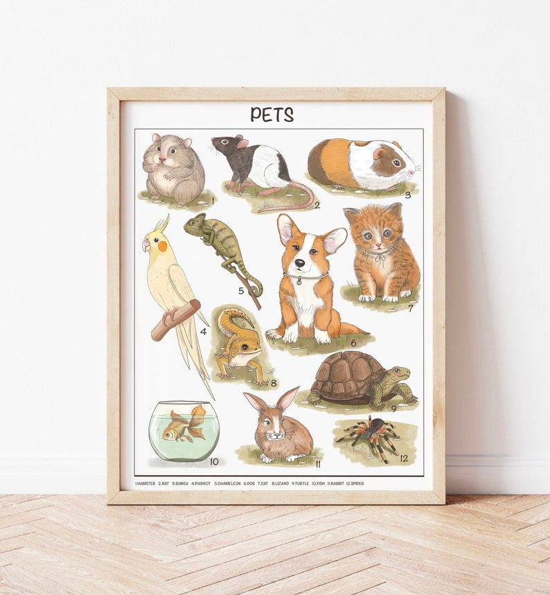 Pets Poster Homeschool Montessori Classroom Preschool Toddler Learning ...