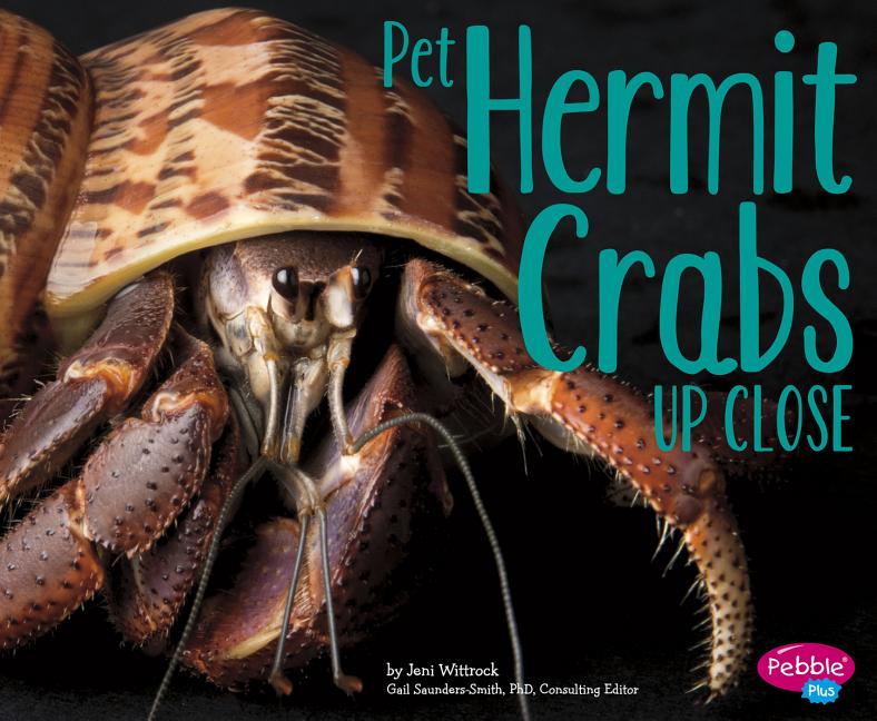 Pets Up Close: Pet Hermit Crabs Up Close (Paperback) - Walmart.com