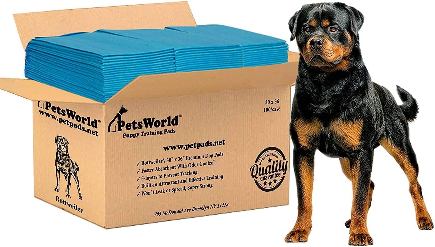 PetsWorld XL Puppy Pee Pads, Extra Large 30x36 inch, 100 Count, 5 Layer ...