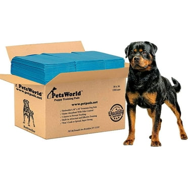 Gigantic Dog Training Pads, 36 in x 36 in, 150-Count, Disposable, Ultra ...