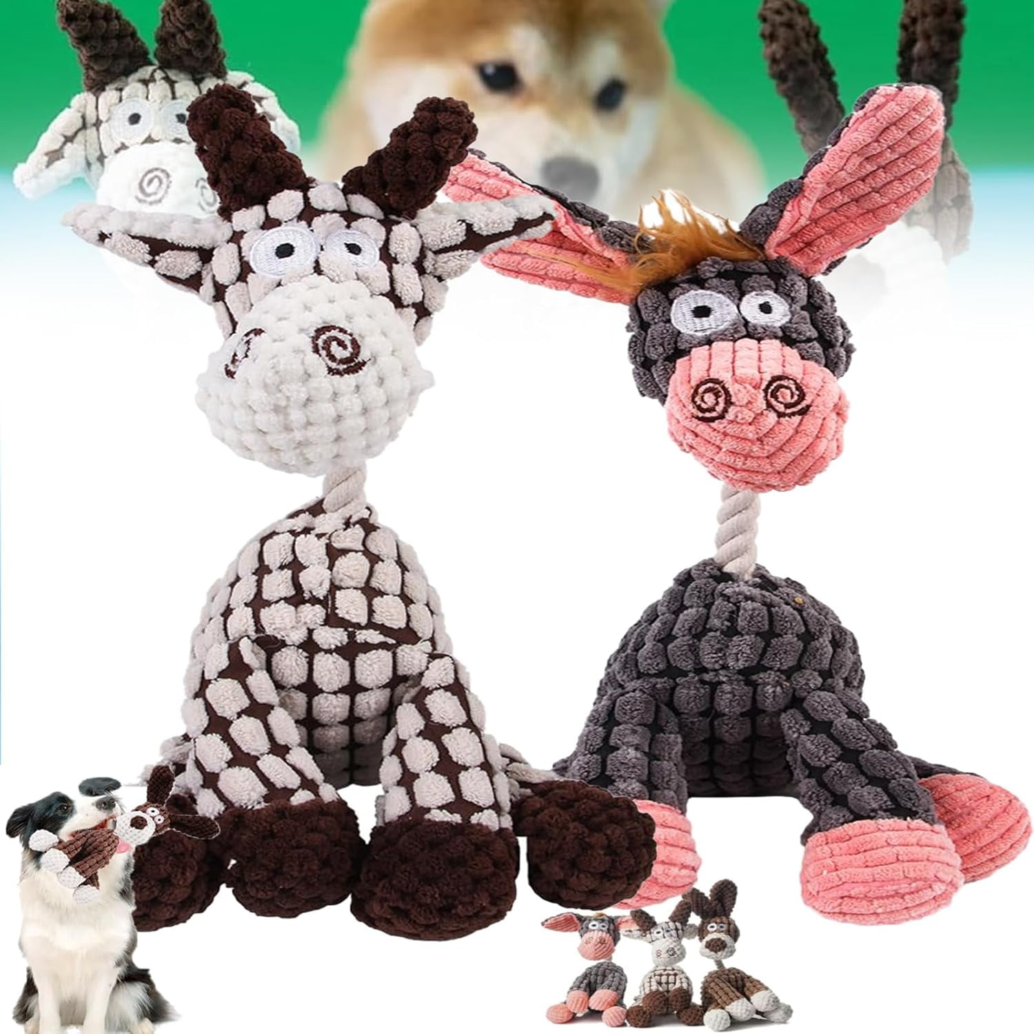 Petsboro Bitebuddy Dog Toy,Bite Buddy,Bitebuddy Dog Toy, 2025 New ...