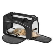 Cat Carrier With Seat Belt Loop