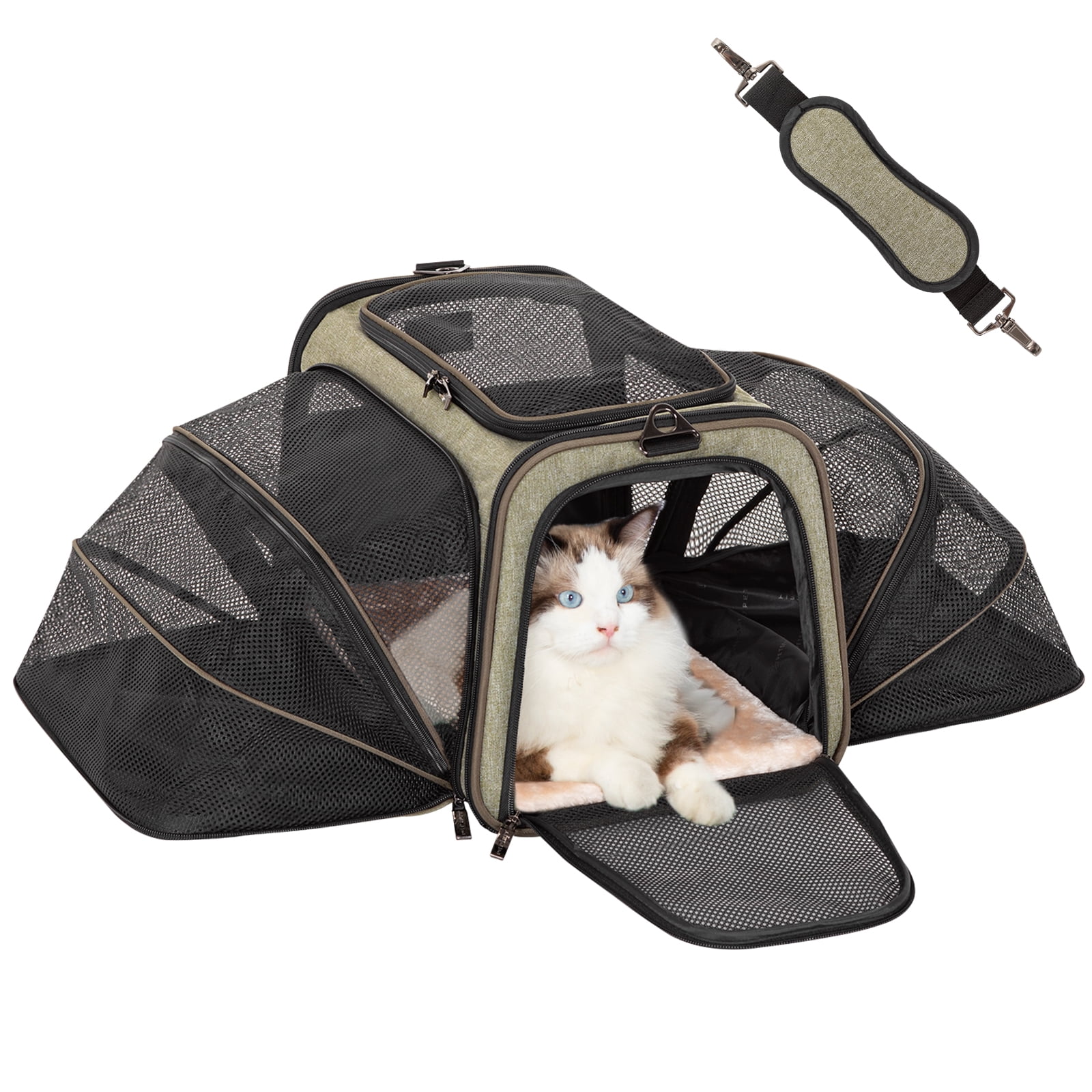 Petsfit Expandable Cat Carrier Dog Carrier, Soft-Sided Portable Pet ...