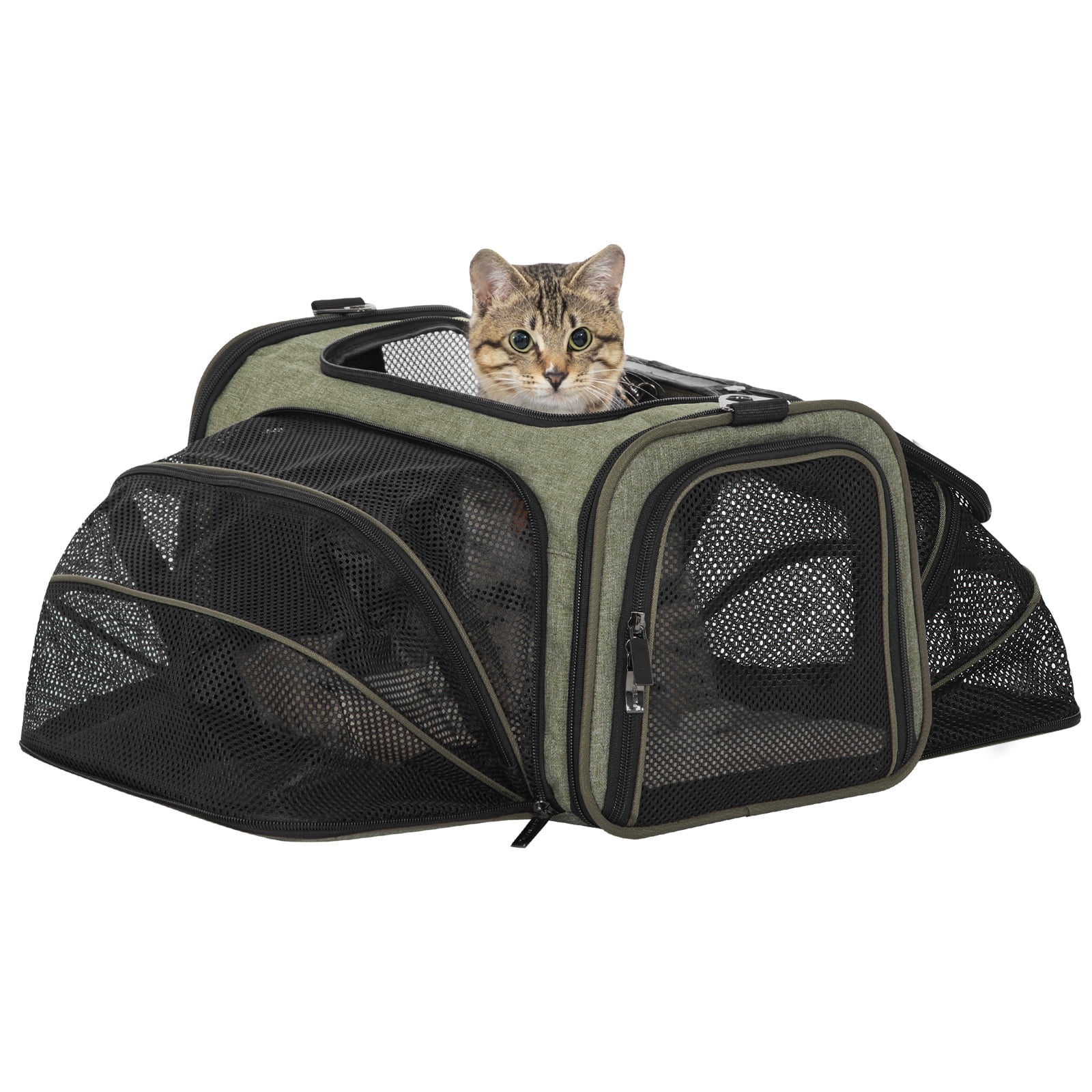 Petsfit Expandable Cat Carriers, 16 Inch Airline Approved Pet Carrier ...