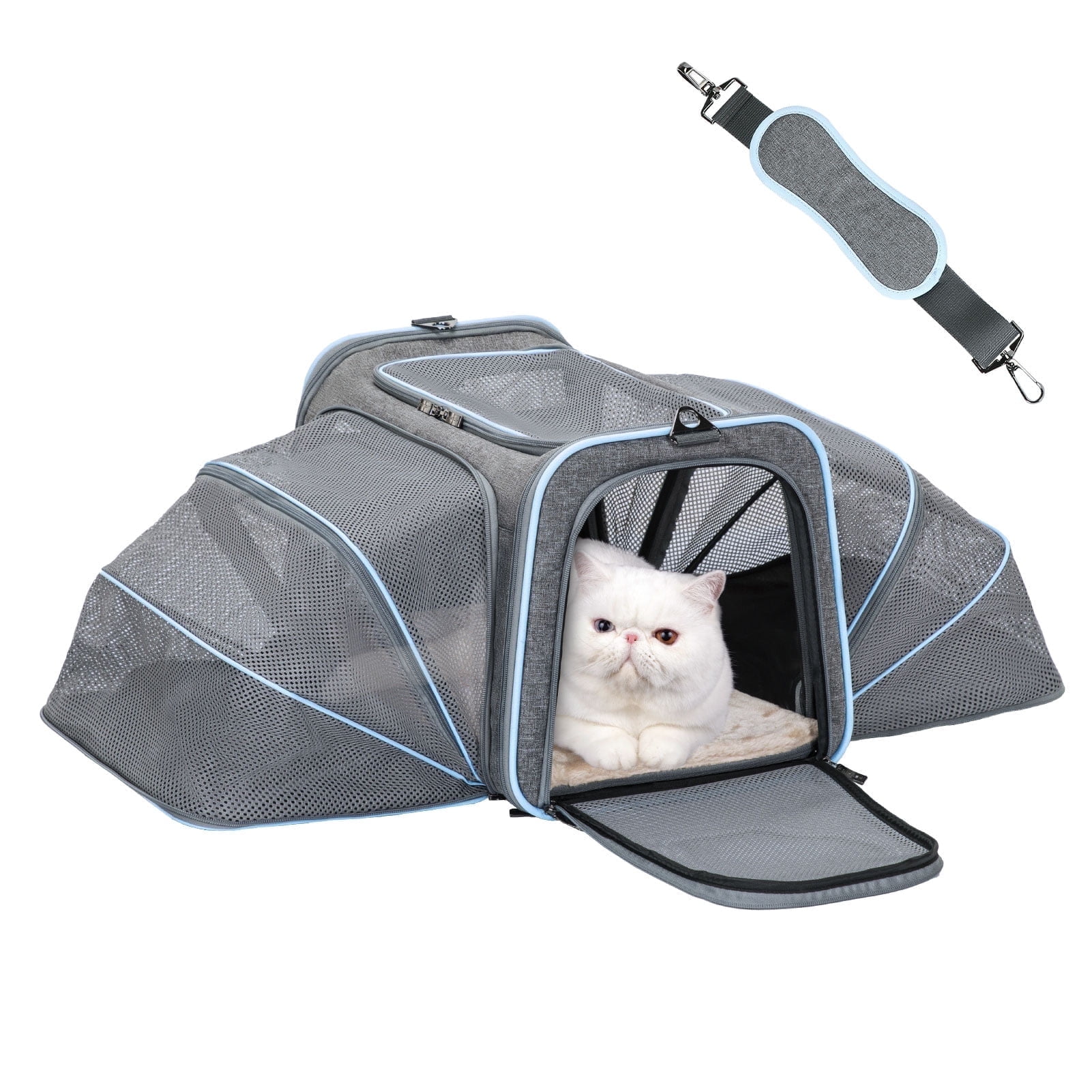 Petsfit Expandable Soft-Sided Cat Carrier, TSA Airline Approved ...