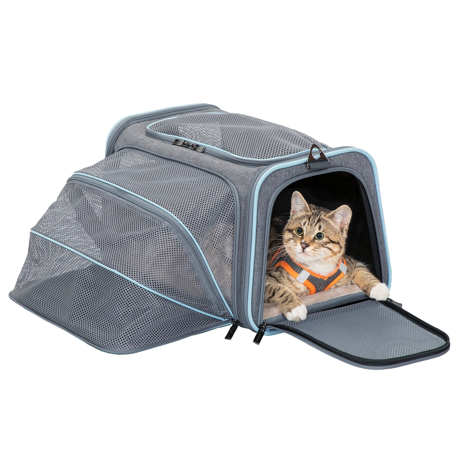 Petsfit Small Cat Carrier Soft Airline Approved Expandable Carrier for ...