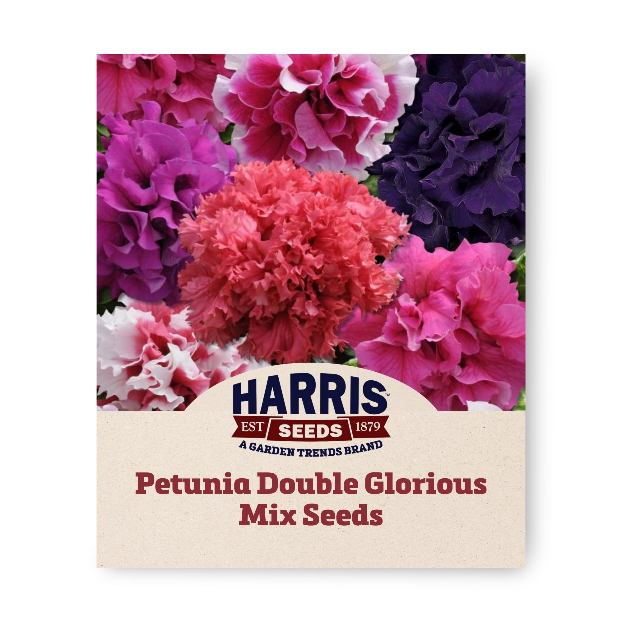 Harris Seeds - Petunia Double Glorious Mix F1 Seeds Non-GMO For ...