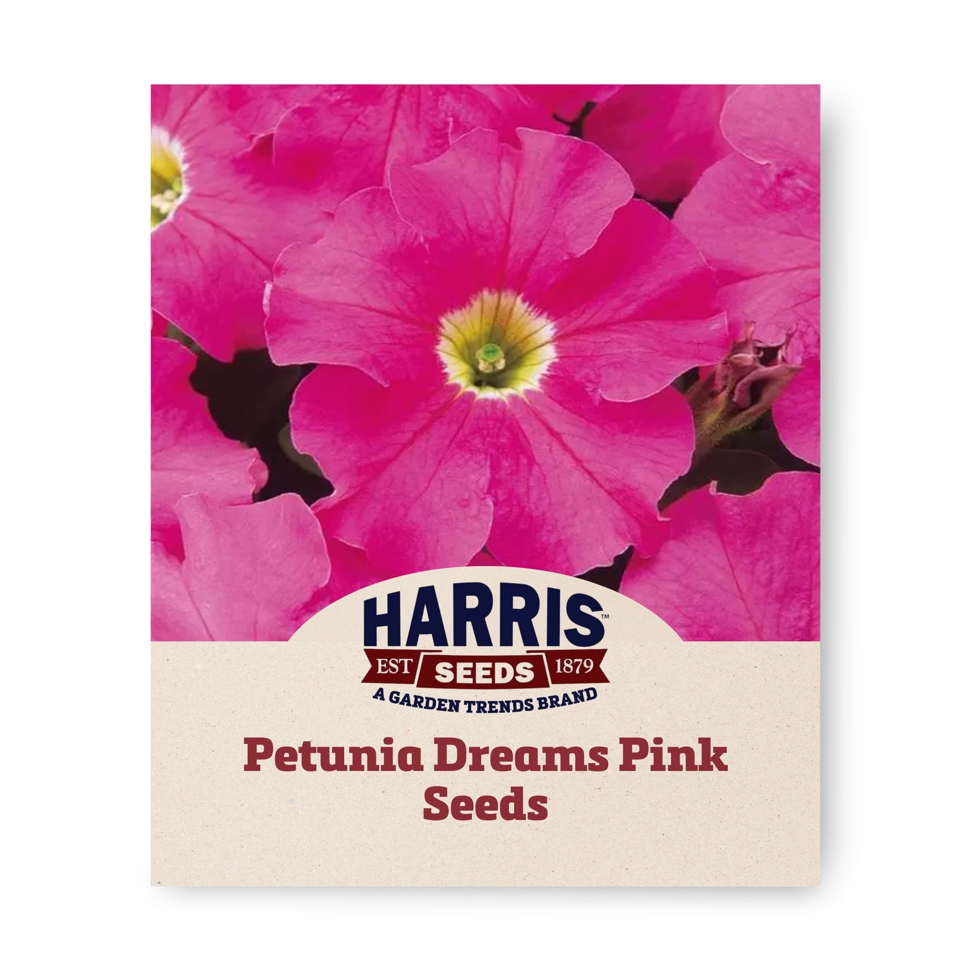 Harris Seeds - Petunia Dreams Pink F1 Seeds For Planting - 500 Seeds ...
