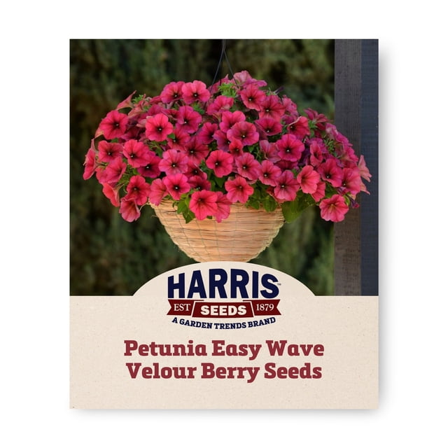 Harris Seeds Petunia Easy Wave Velour Berry F1, Mounded Spreading ...