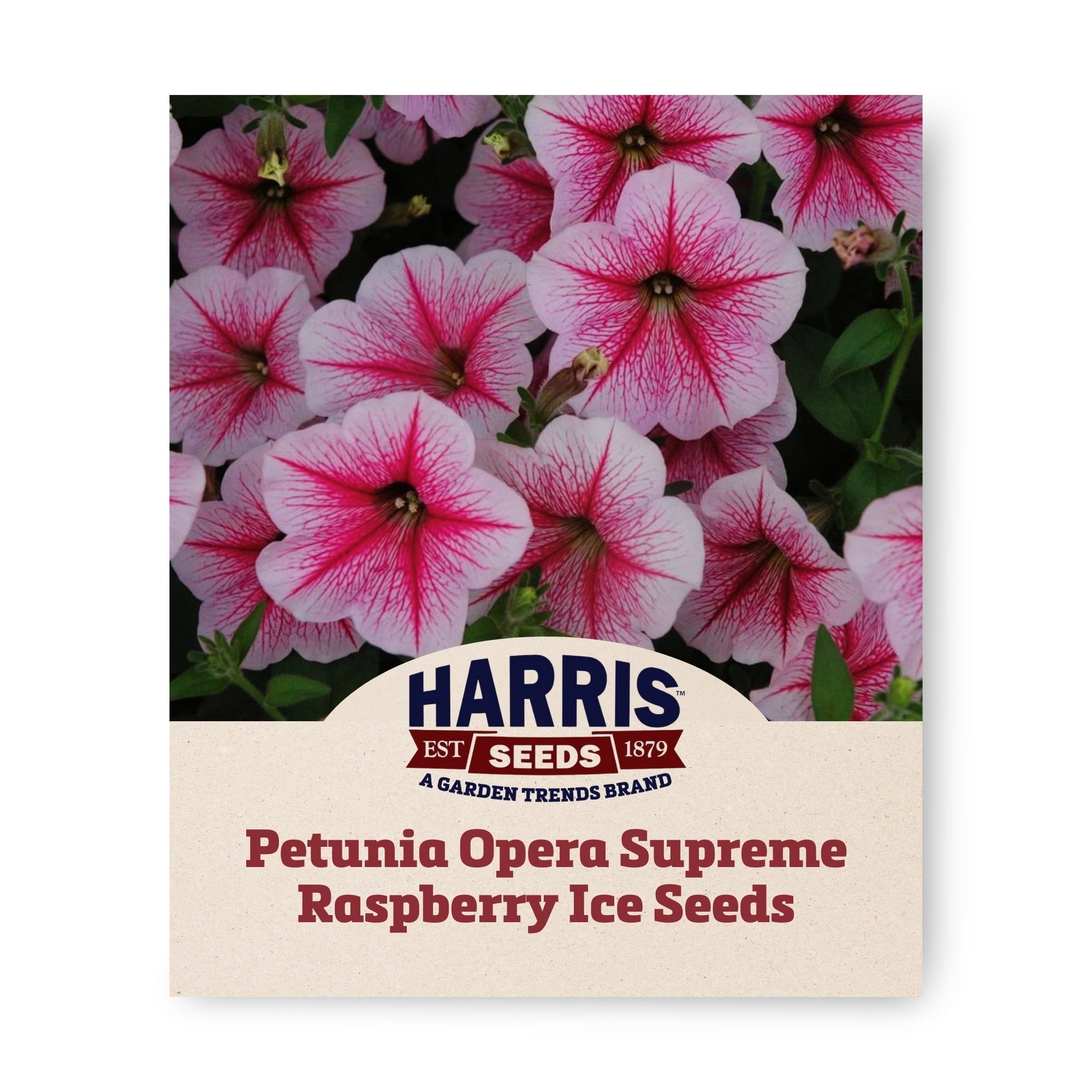 Harris Seeds - Petunia Opera Supreme Raspberry Ice F1 Flower Seeds ...