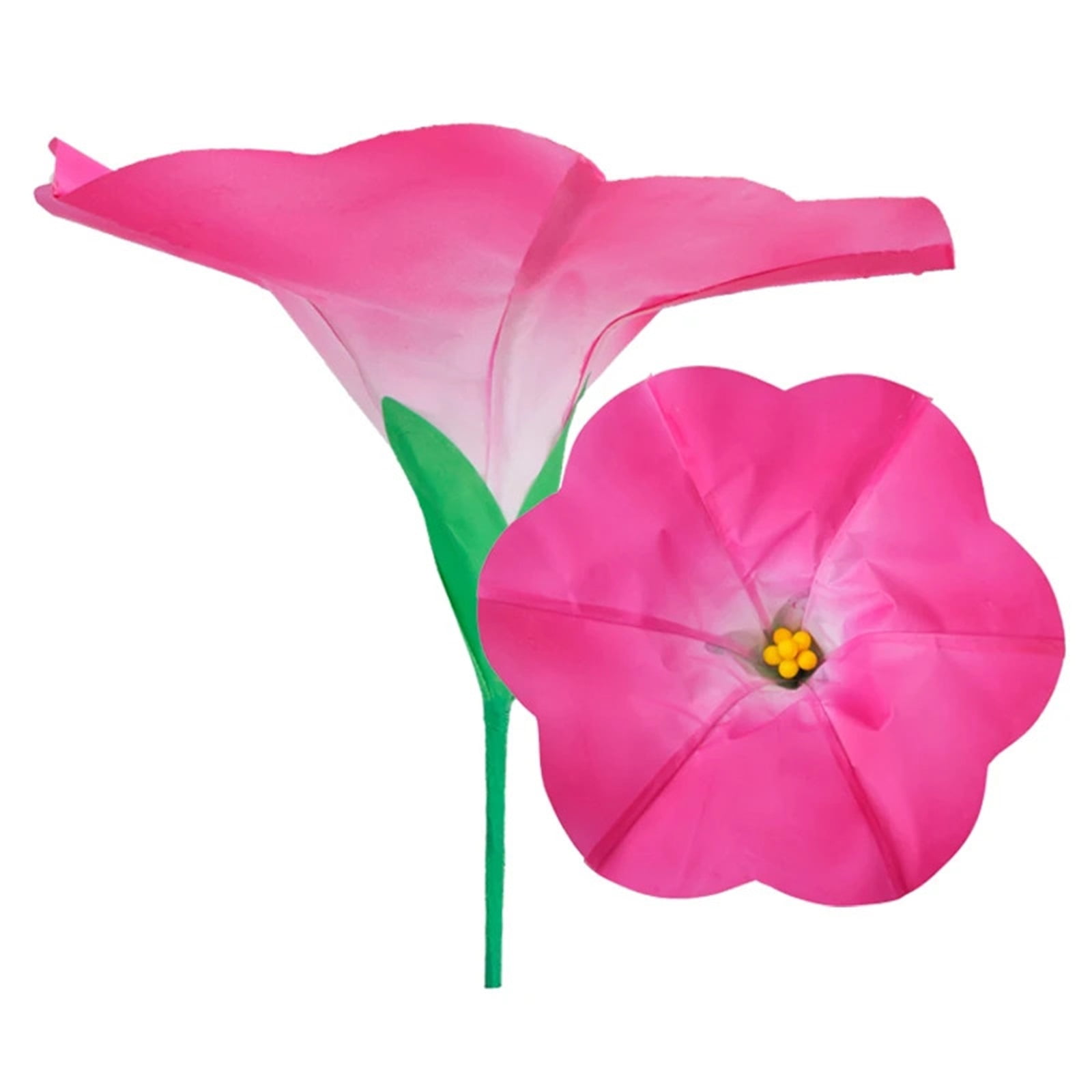 Petunia Simulation Morning Glory Games Opening Ceremony Admission Stage ...