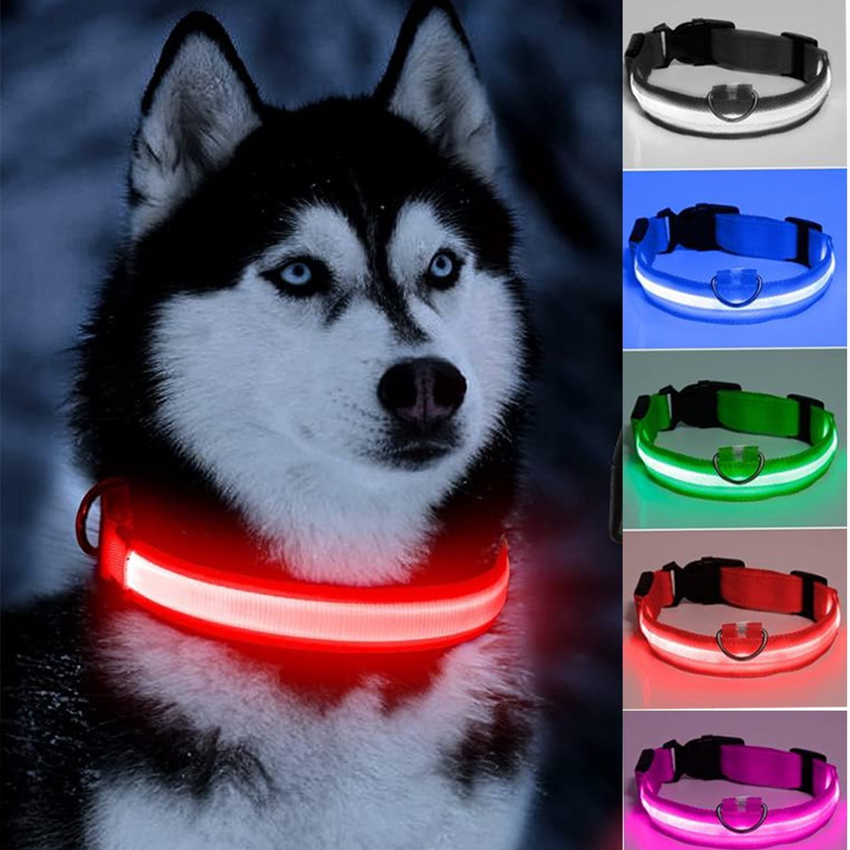 Petwishup Light USB Rechargeable LED Dog Collar - Adjustable Light up ...