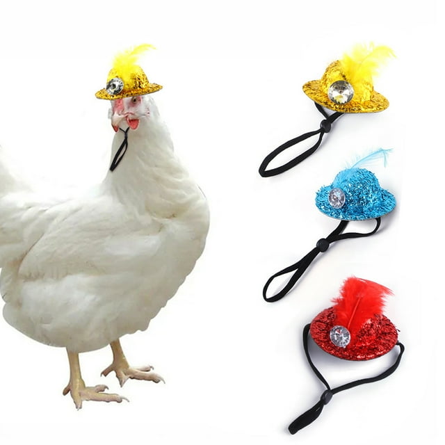 Peuae Chicken Hats, Chicken Helmet Chicken Clothes for Hens Real ...