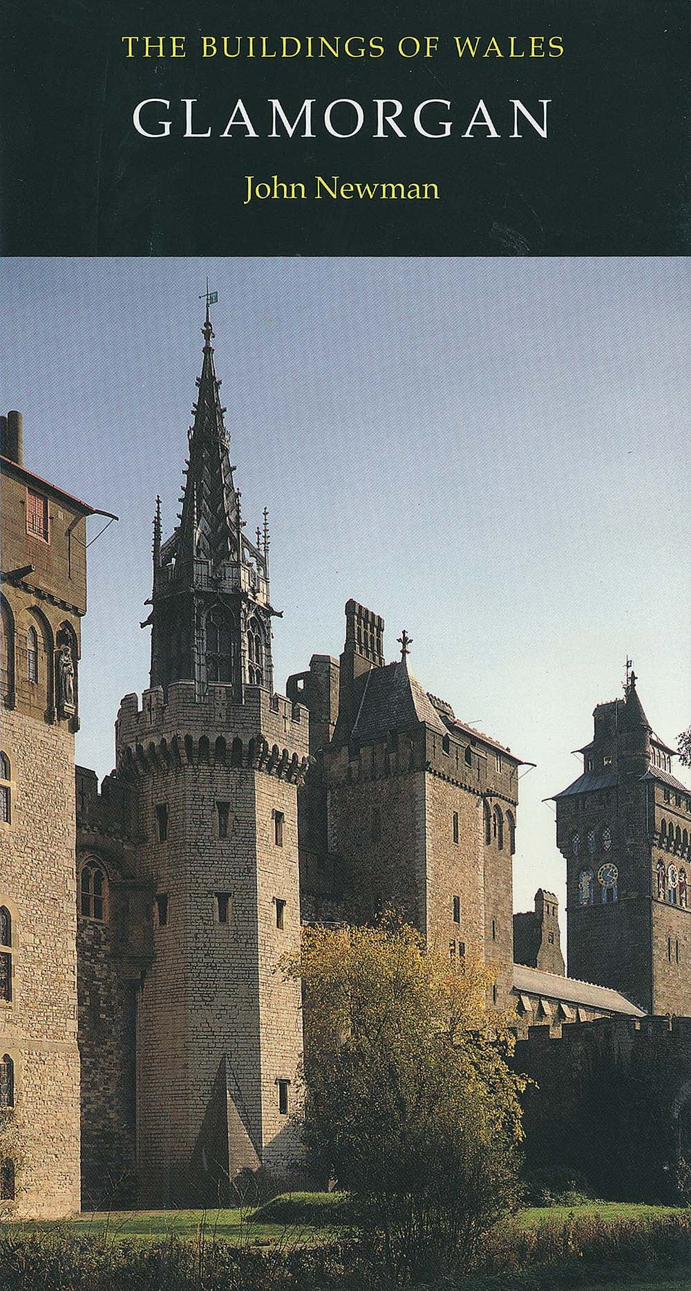 Pevsner Architectural Guides: Buildings of Wales: Glamorgan : Mid ...