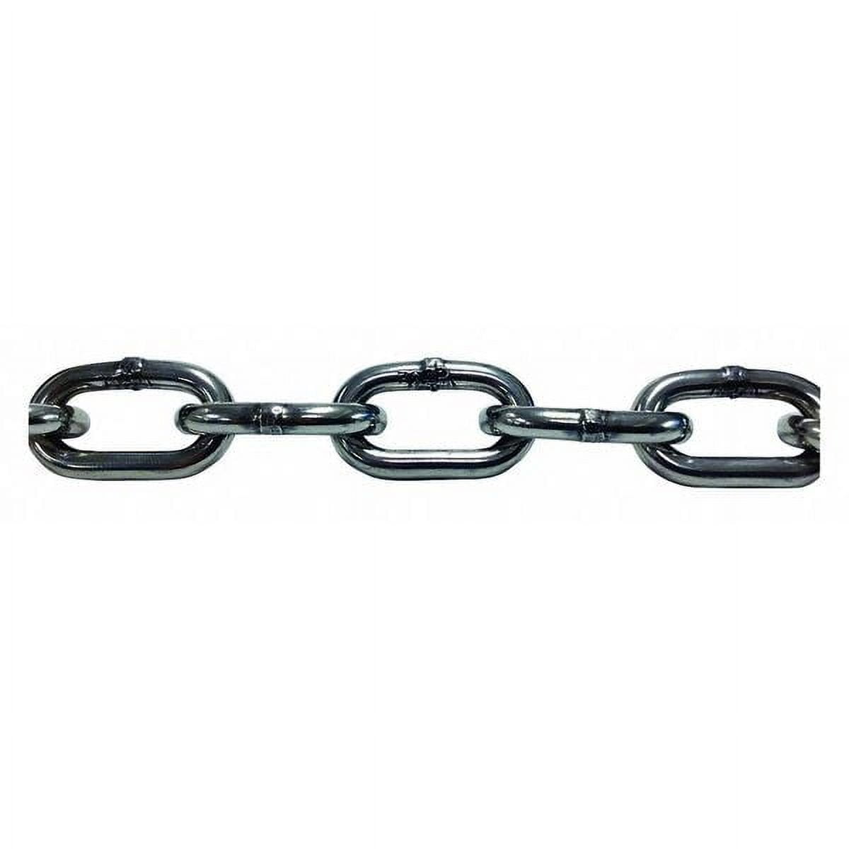 Pewag Straight Chain,304 SS,5'L,1,200 lb 4511/5 - Walmart.com