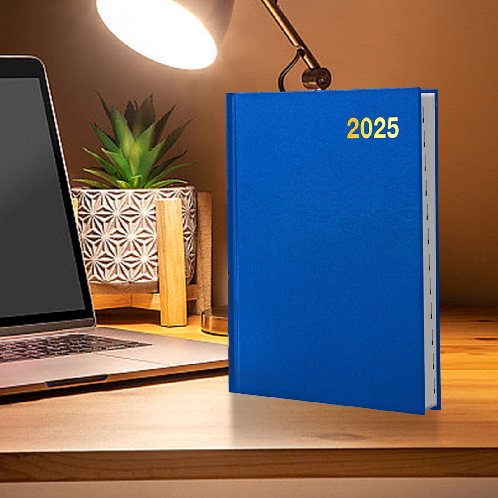 Pgyong Essential 2025 Eco Friendly Diary - A4 Day to a Page Business ...