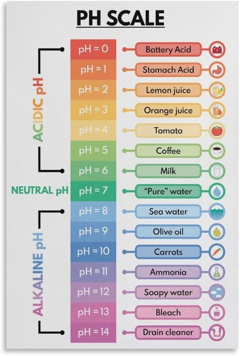 Ph Scale Poster Science Poster for Kids Art Poster and Wall Art Picture ...