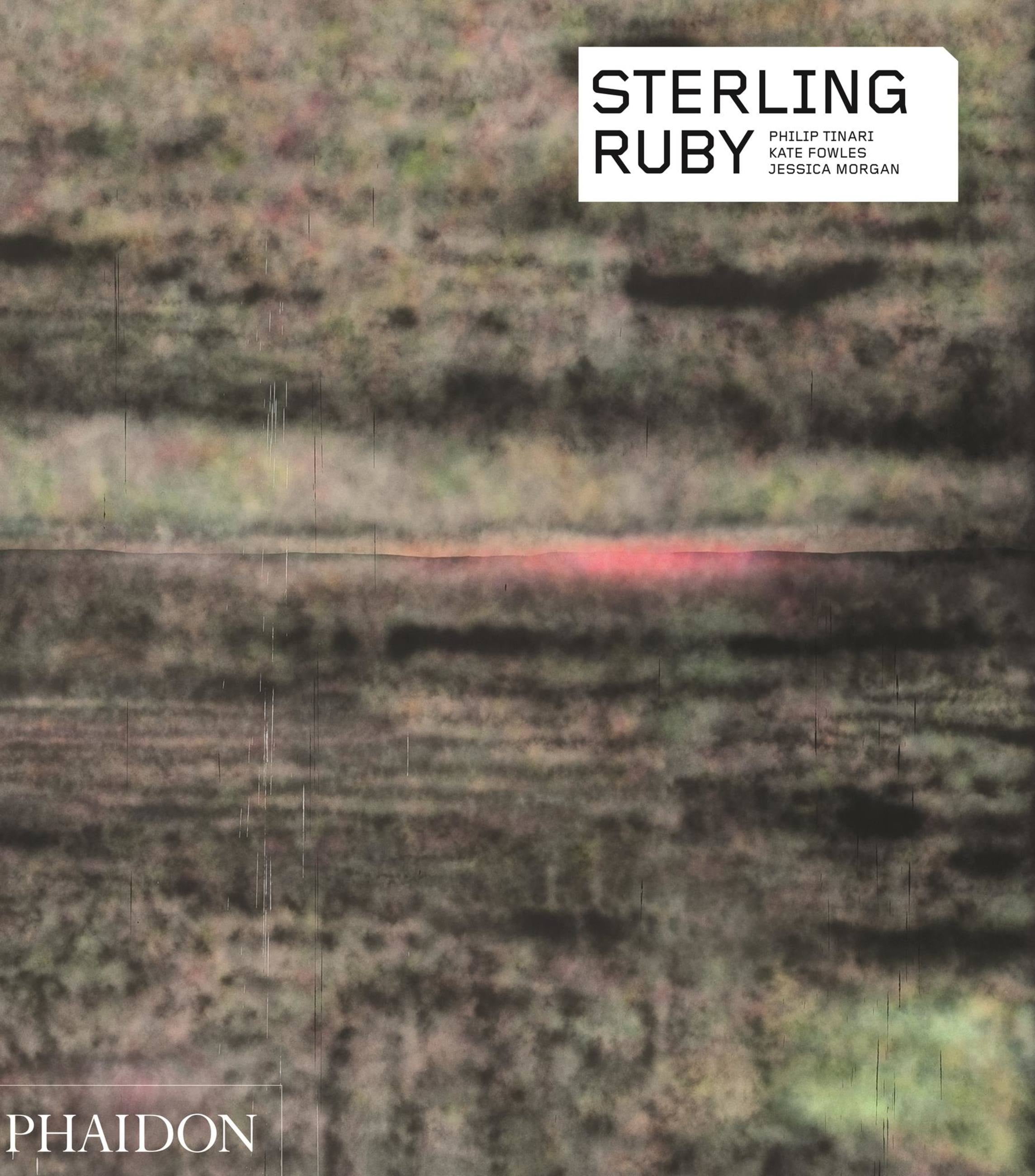 Phaidon Contemporary Artists Series: Sterling Ruby (Paperback ...