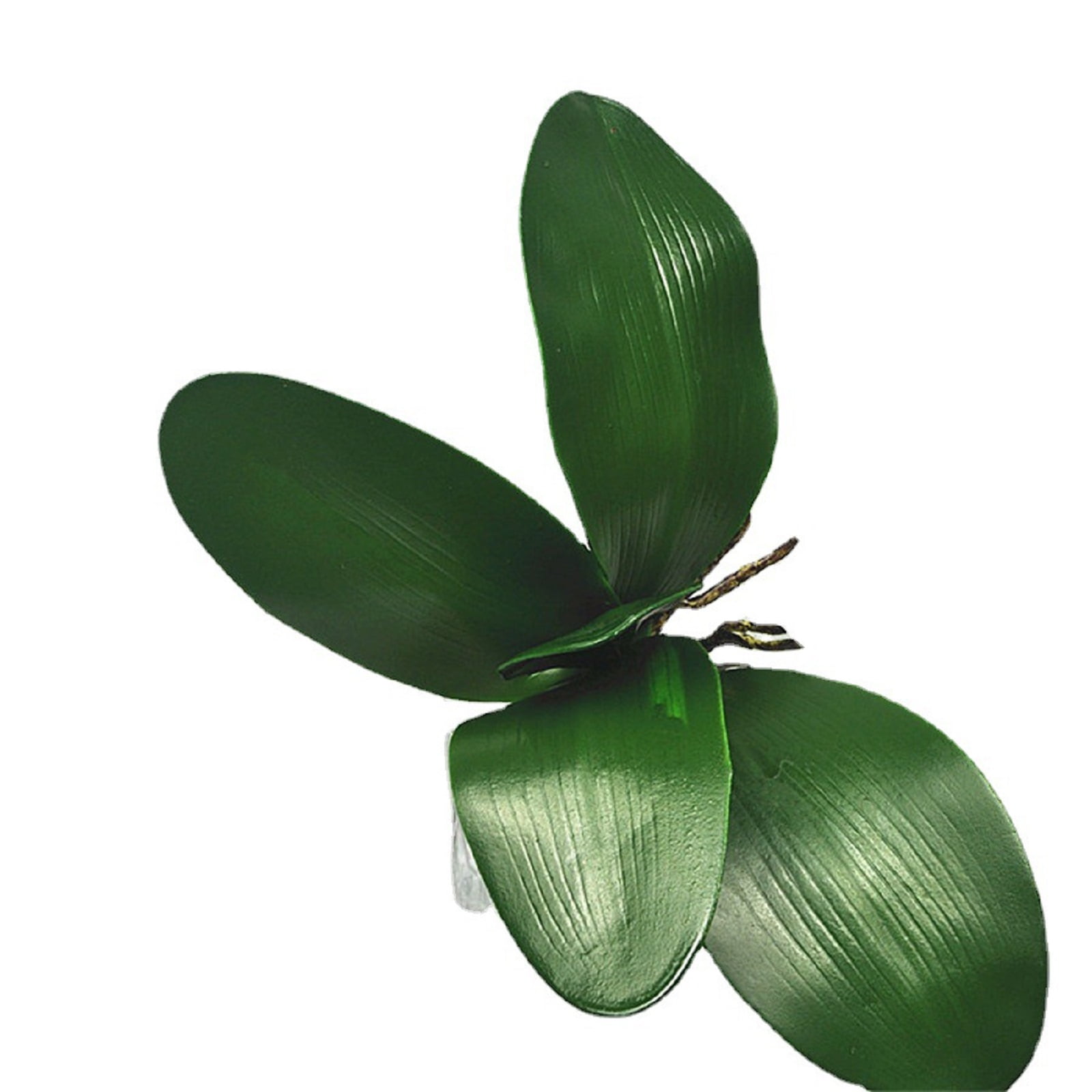 Phalaenopsis Leaves Artificial Leaves Green Plants Green Real Latex ...