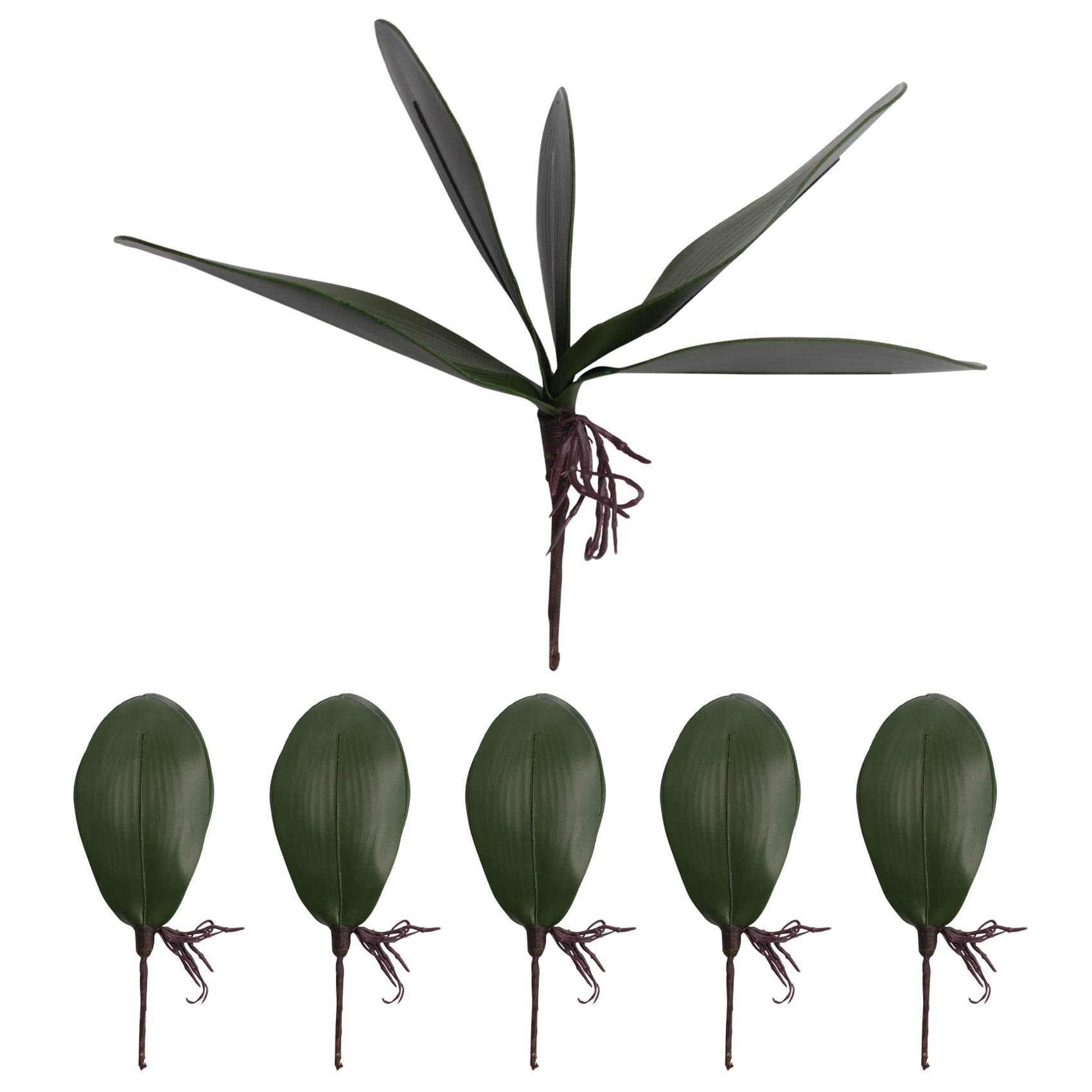 Phalaenopsis Orchids Leaves Artificial Real Looking Latex Contact ...