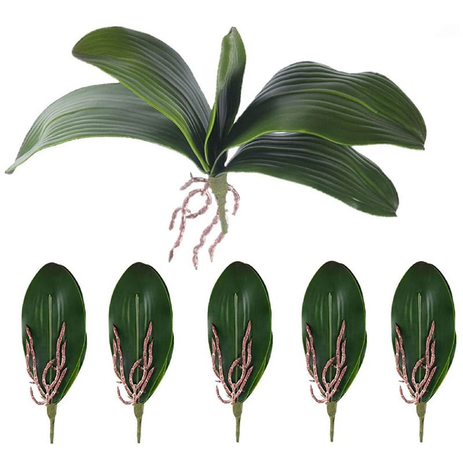 Phalaenopsis Orchids Leaves Artificial Real Looking Latex Contact ...
