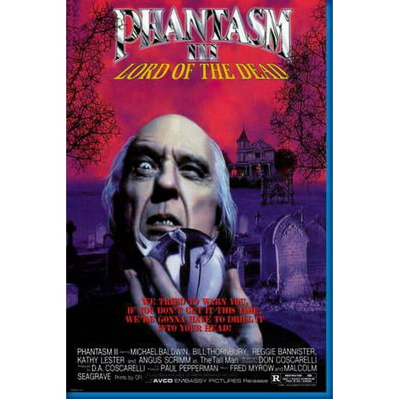 Phantasm 3 Movie Poster Art Poster 24x36 Unframed, Age: Adults ...