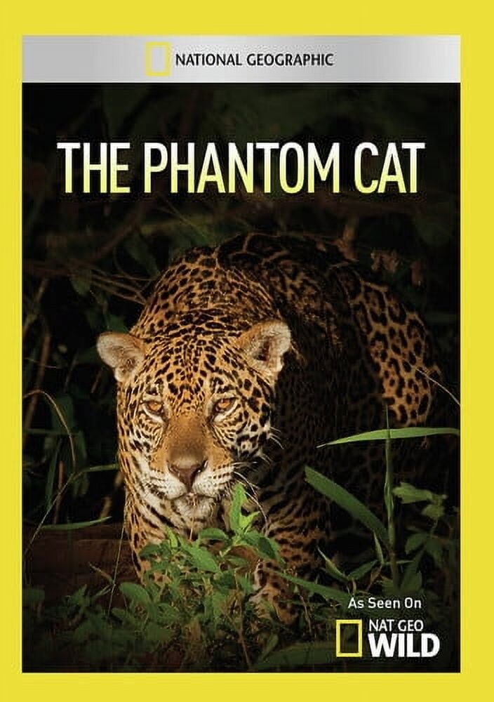 Phantom Cat (DVD), National Geographic, Documentary - Walmart.com