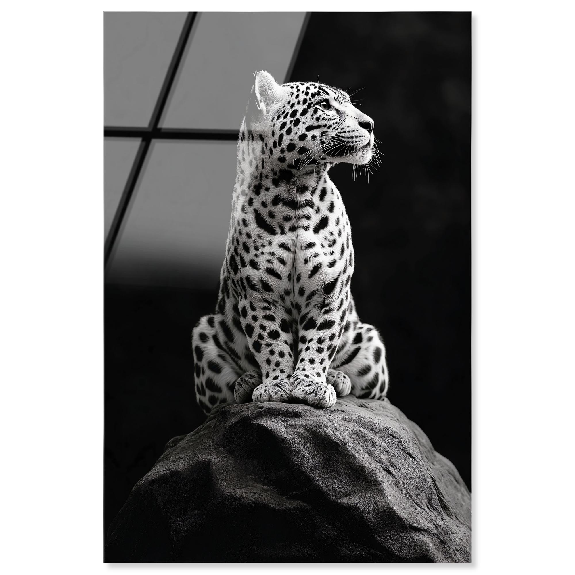 Phantom Feline II Acrylic Print Animal Art Prints by Notoriart, Ready ...