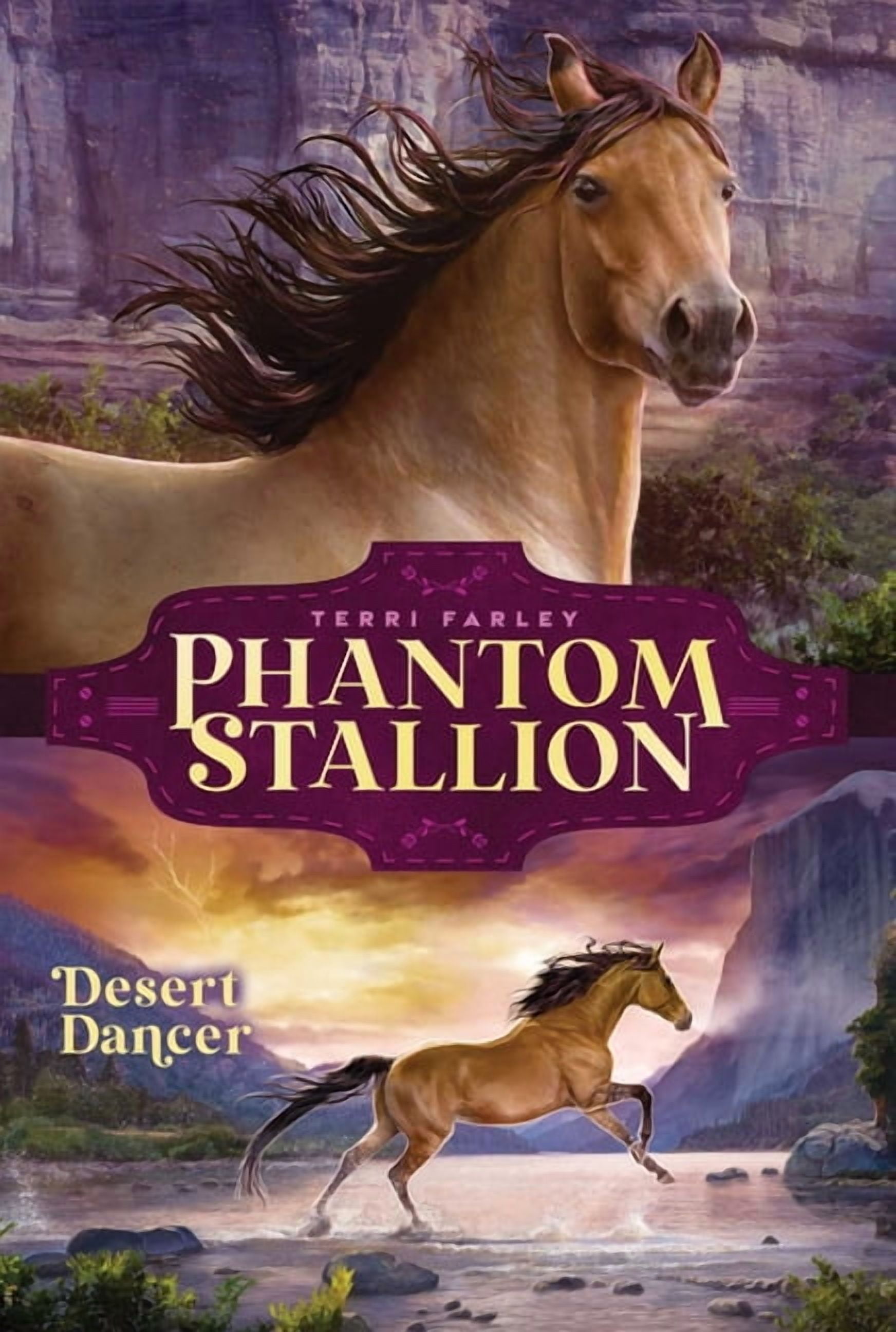 Phantom Stallion Desert Dancer, Book 7, (Paperback) - Walmart.com