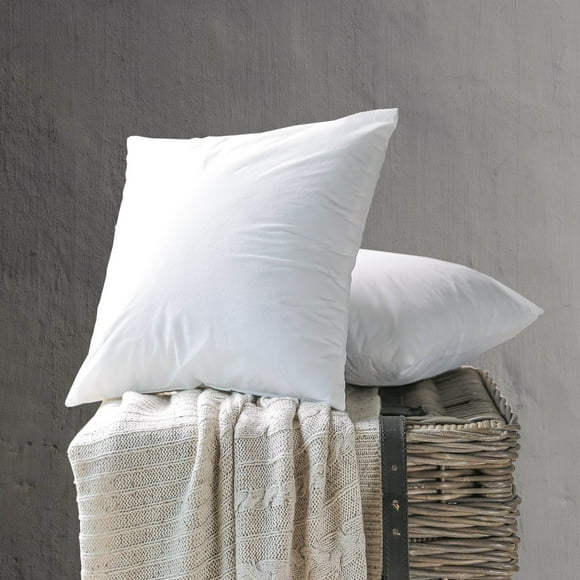 Pillow Inserts 20 X