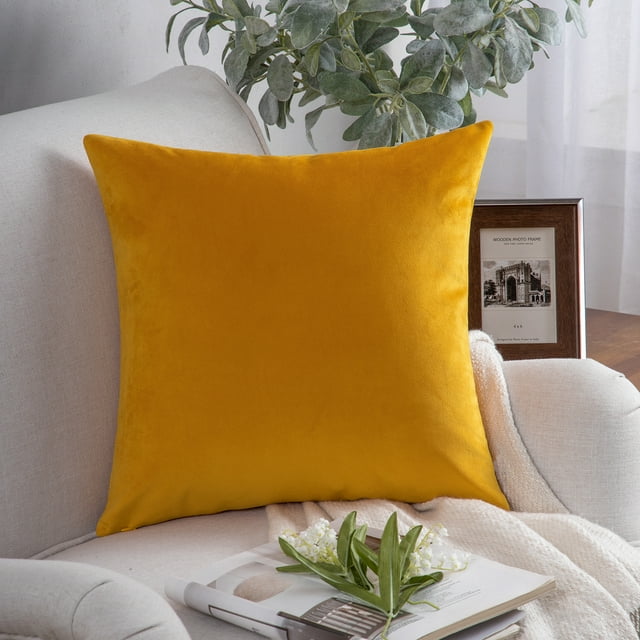 Phantoscope Soft Silky Velvet Series Decorative Throw Pillow 20 X 20