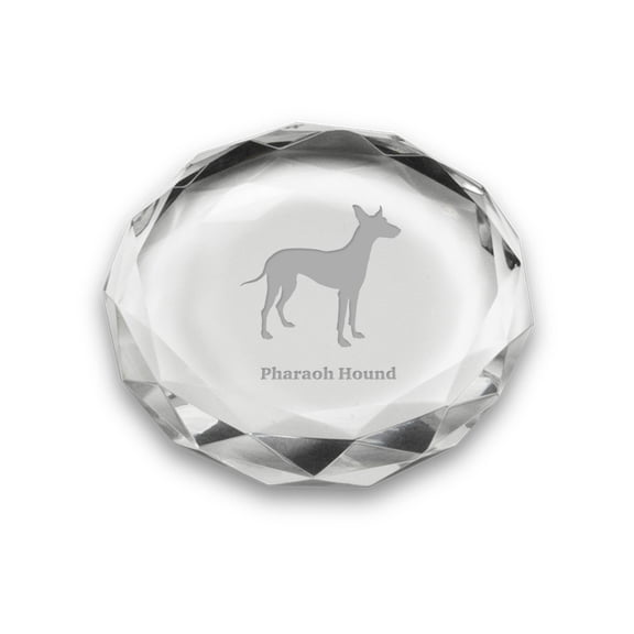 Pharaoh Hound Black