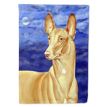 Caroline's Treasures SS8268-FLAG-PARENT Pharaoh Hound Flag, , multicolor - Walmart.com