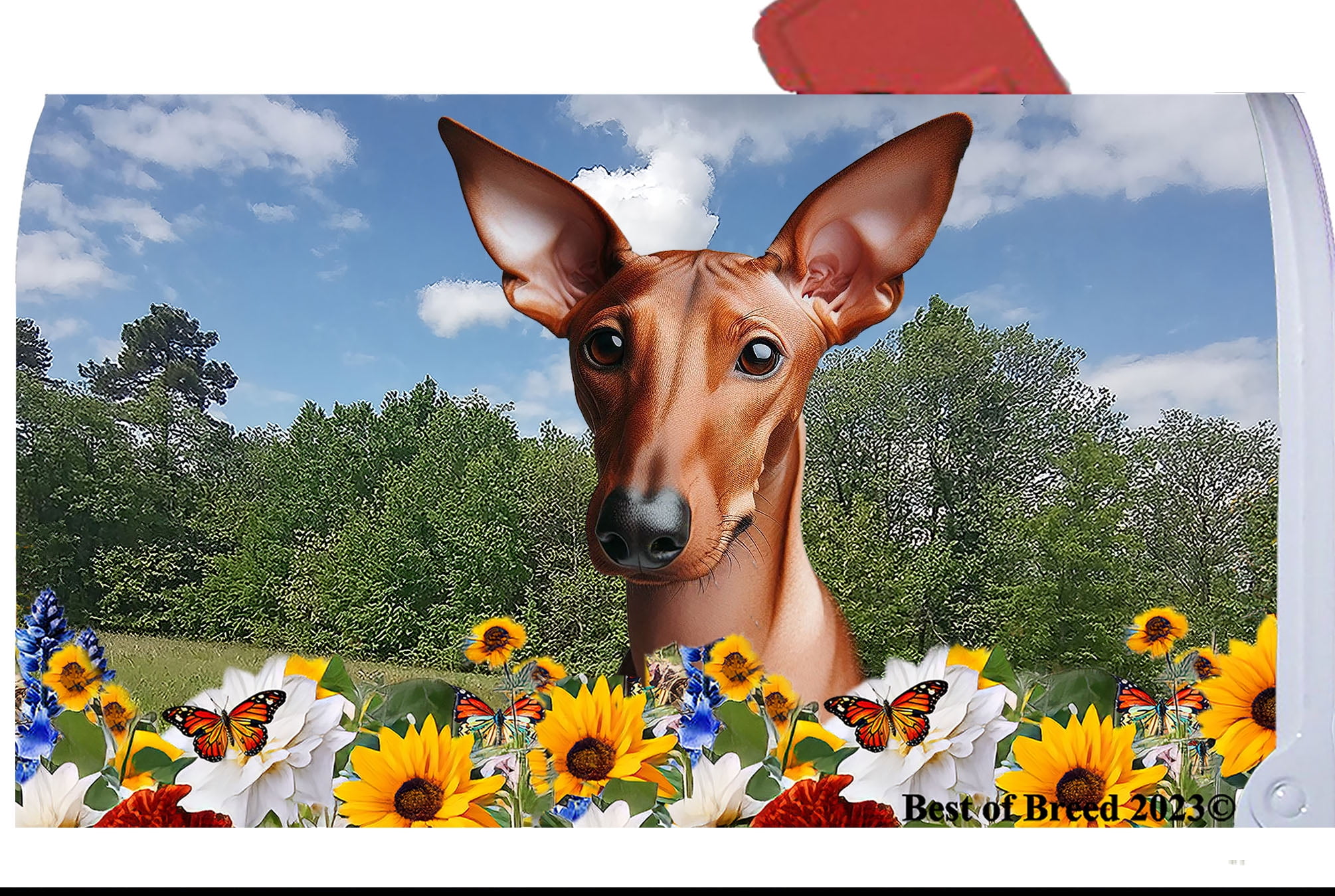Pharoah Hound - Best of Breed Summer Flowers Mailbox Cover Hi-Grade ...