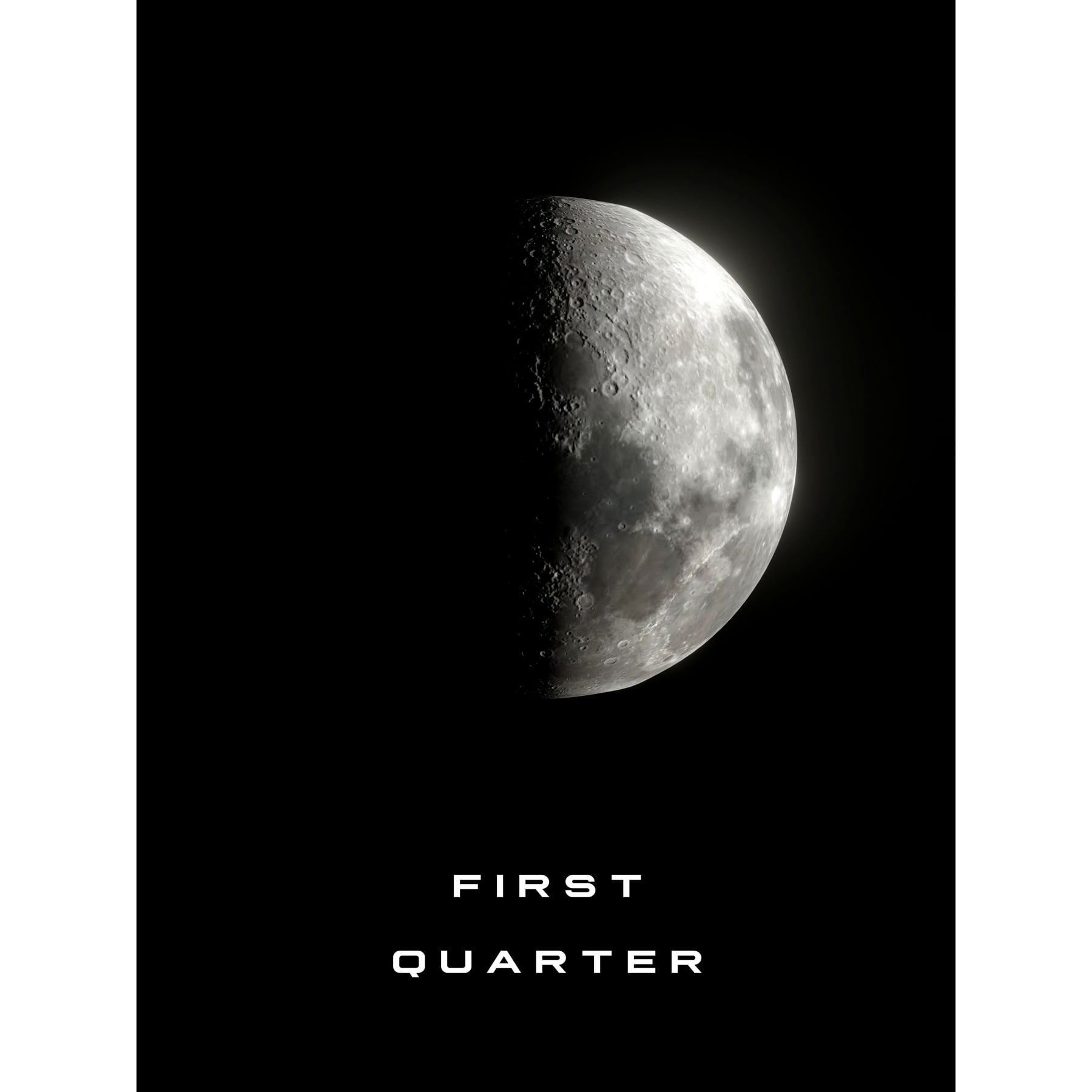 Phases of the Moon Astronomy First Quarter Lunar Space Extra Large XL ...