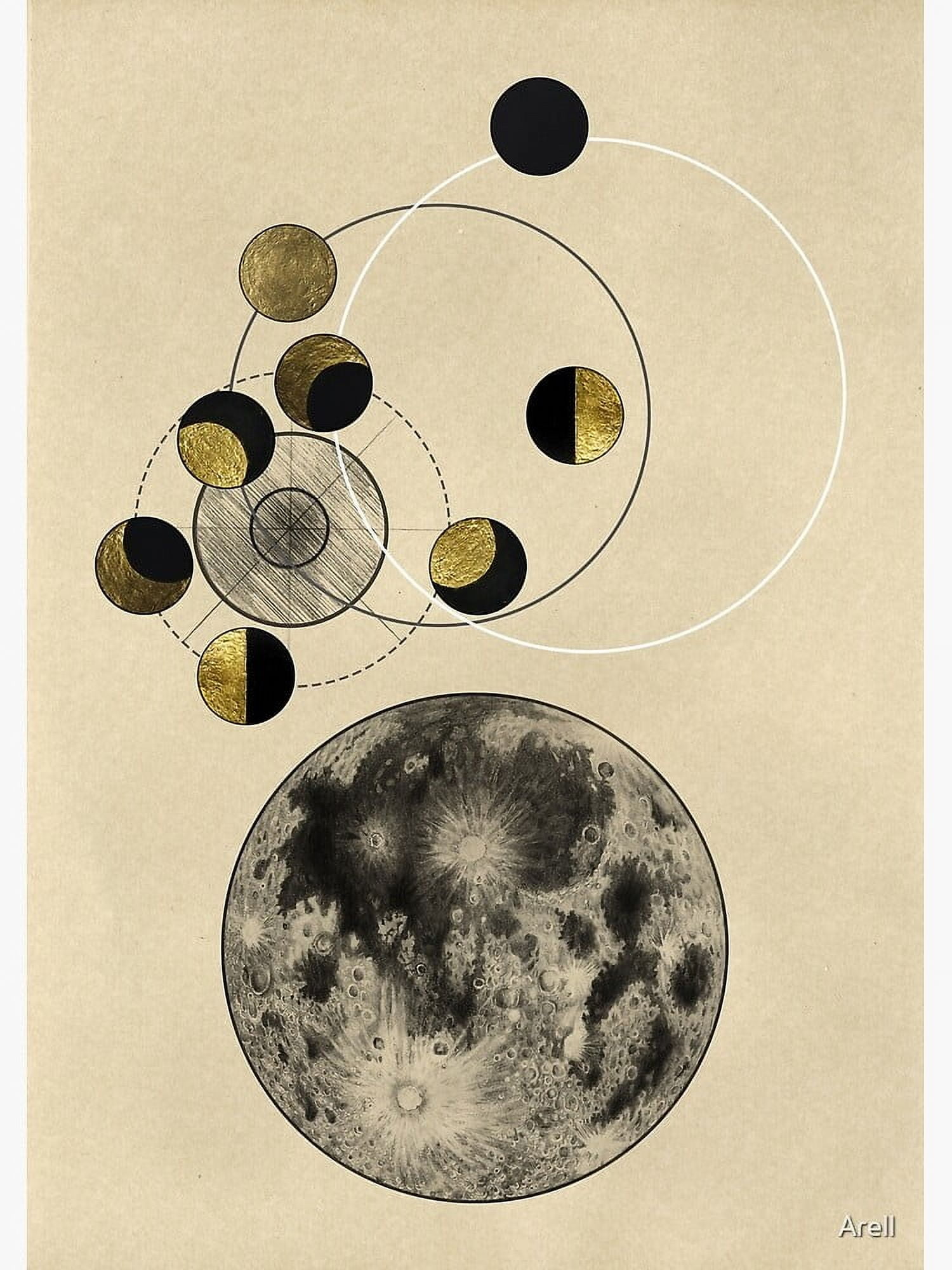 Phases of the Moon Poster Framed-unframed - Walmart.com