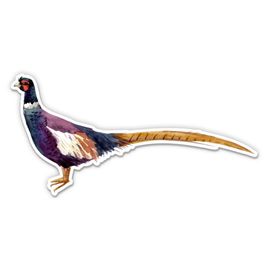 Pheasant - 5" Vinyl Sticker - For Car Laptop I-Pad - Waterproof Decal ...