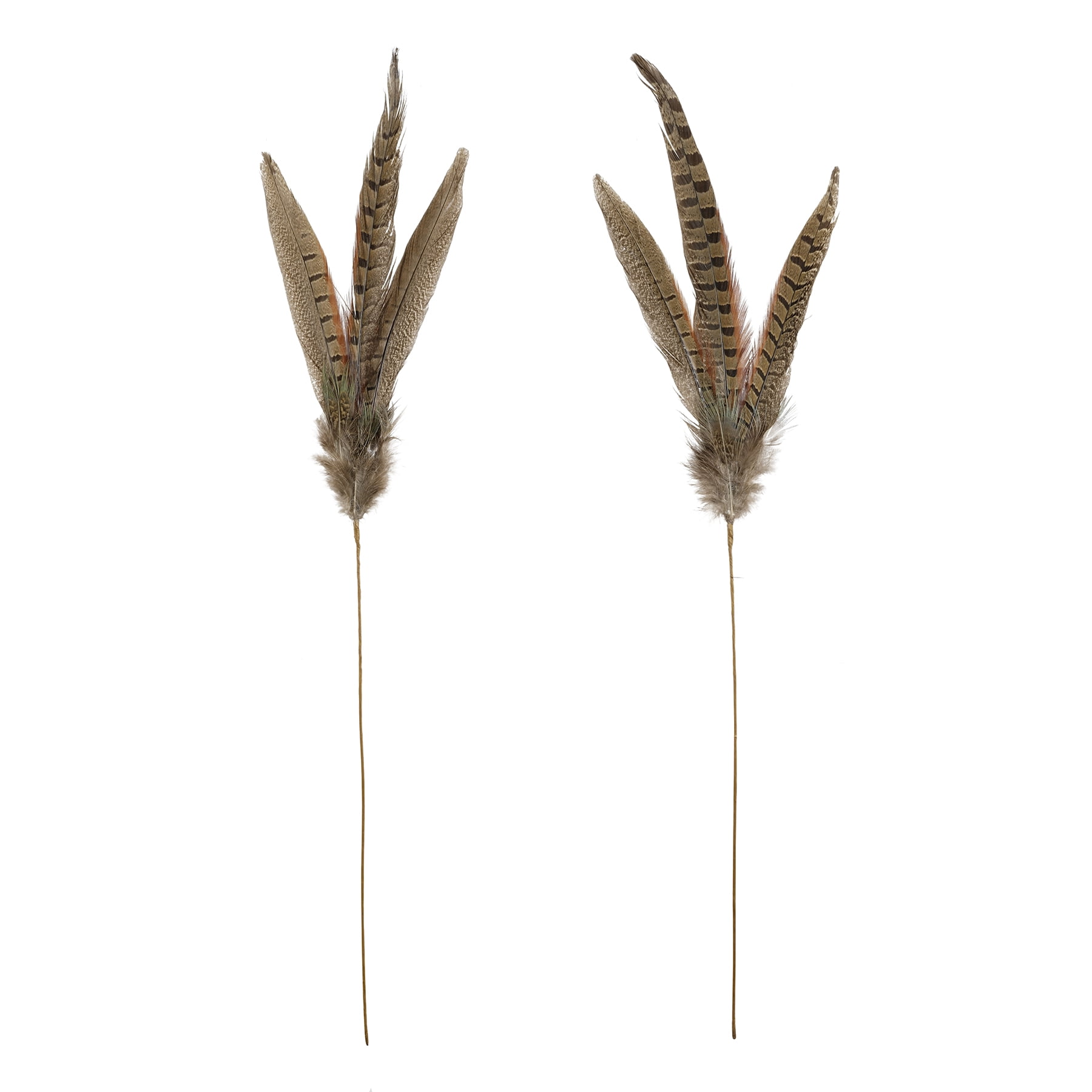 Pheasant Feather Picks by Ashland® - Walmart.com