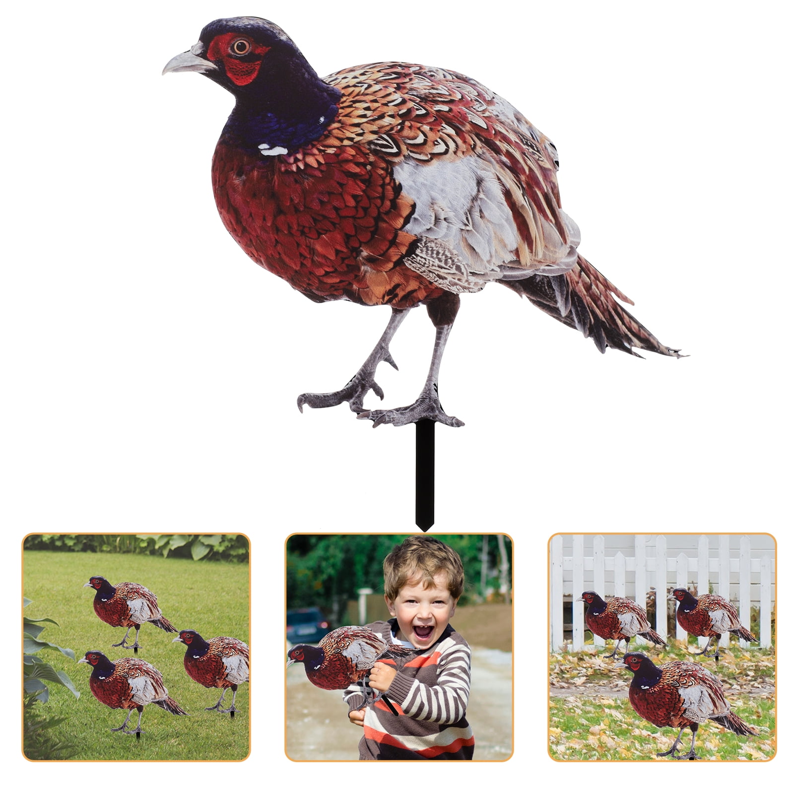 GOOHOCHY Pheasant Decorations -Resistant Acrylic 1Pack 9.1X0.1X7.9In ...