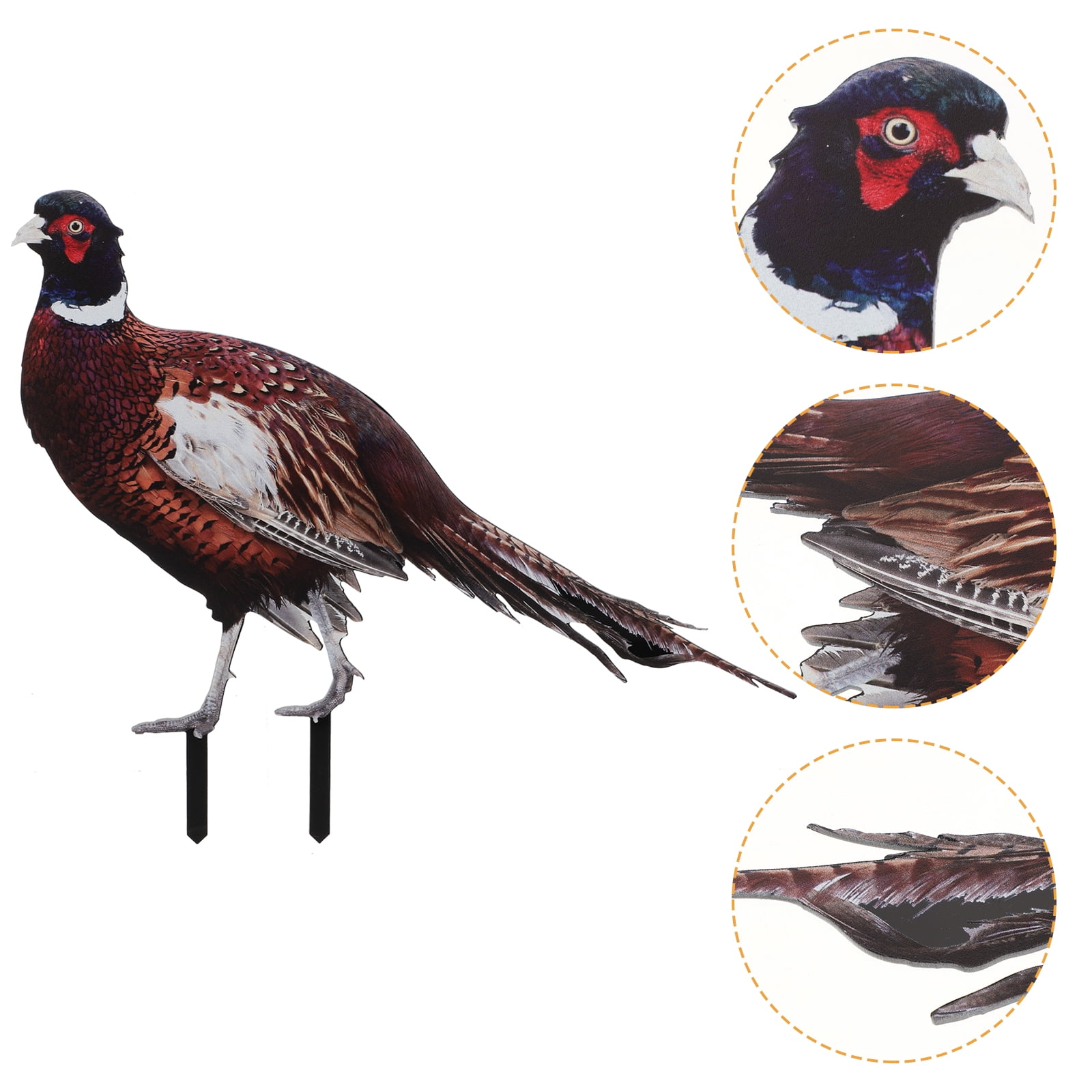 Pheasant Garden Decoration Chicken Yards Art Decorative Animals The ...