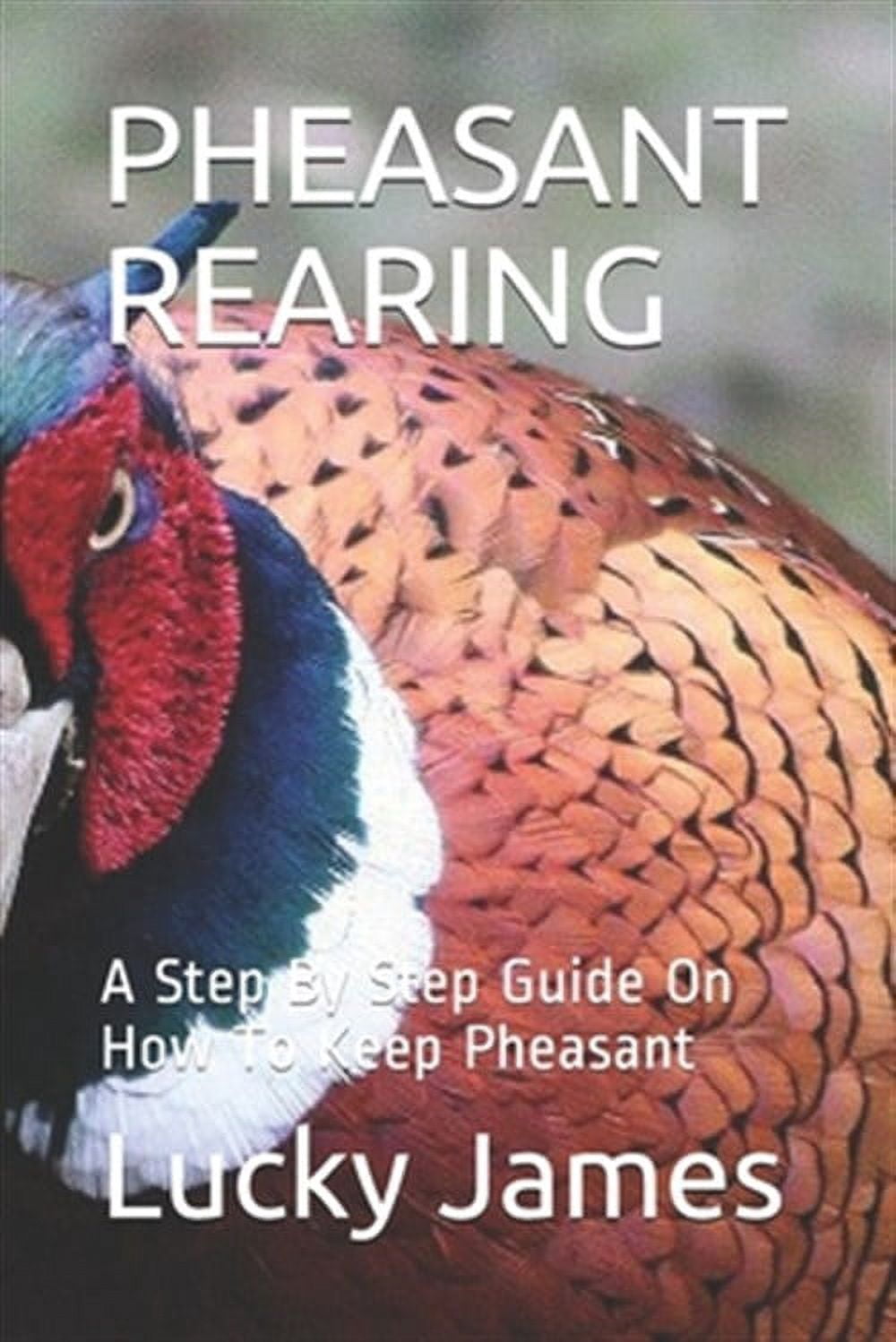 Pheasant Rearing: A Step By Step Guide On How To Keep Pheasant ...