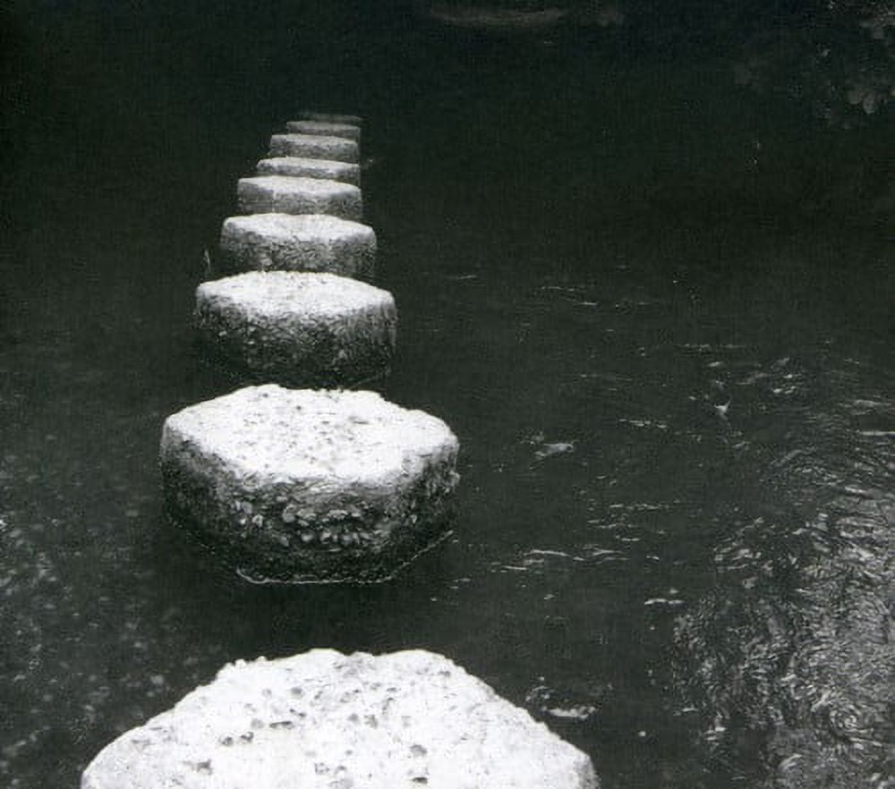 Phelan Sheppard - Harps Old Master - Alternative - CD - Walmart.com